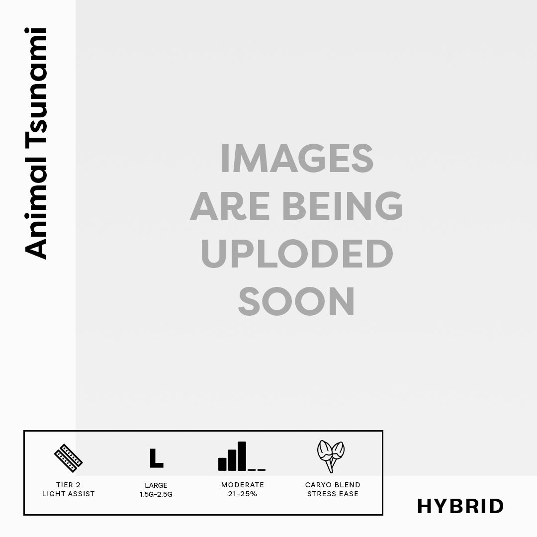 Animal Tsunami | Damn Good | Legal Cannabis