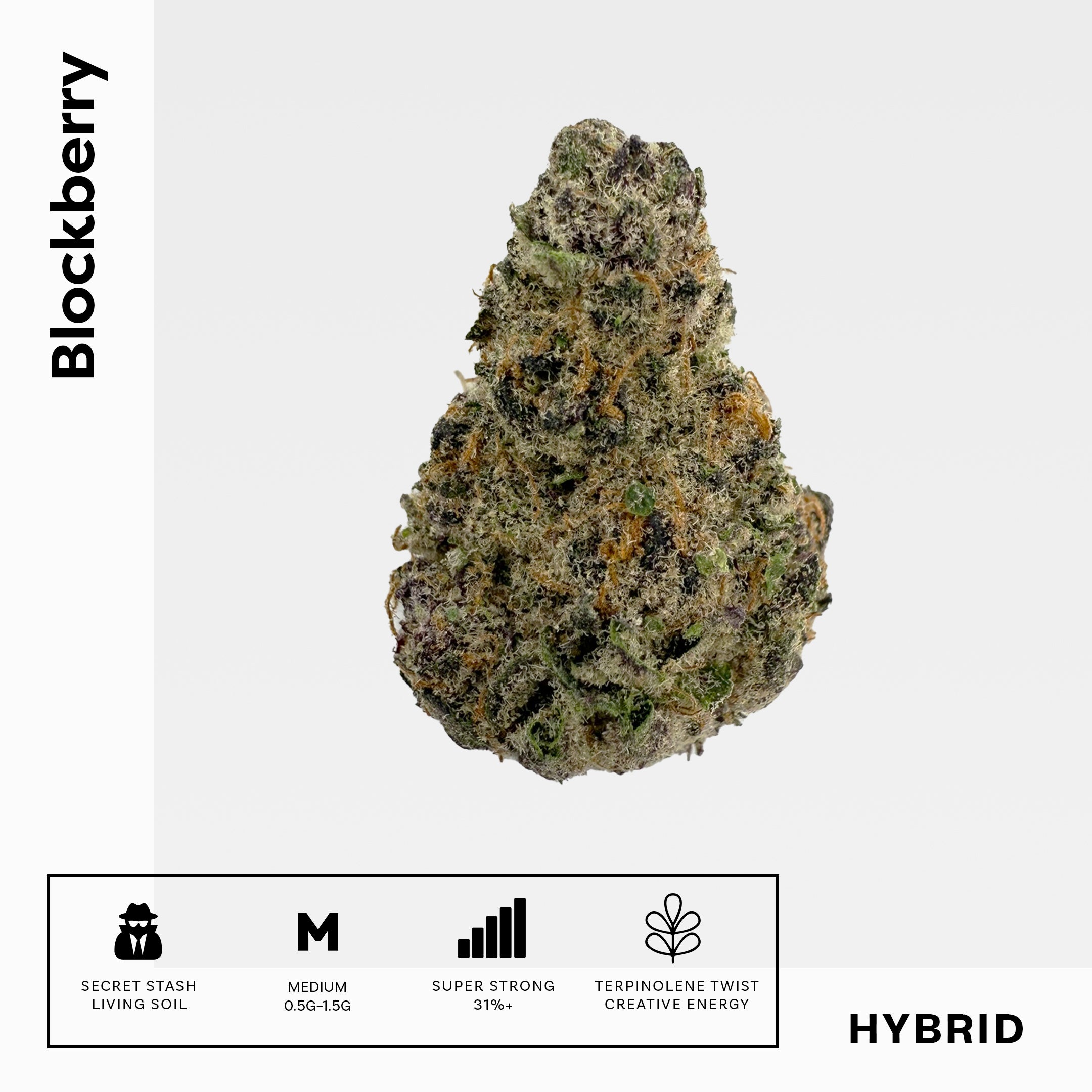 Blockberry – Damn Good | Legal Cannabis