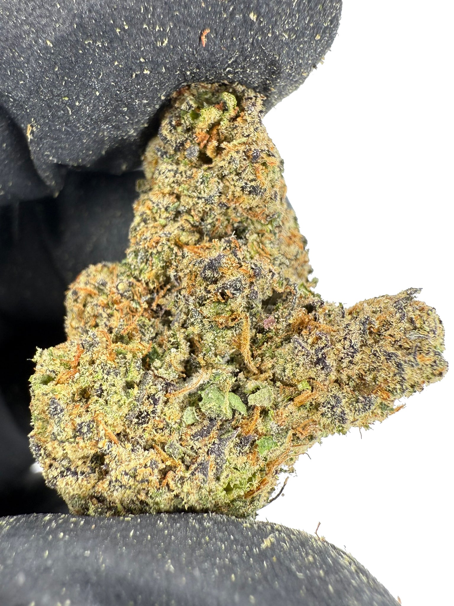 Candy Gas – Damn Good | Legal Cannabis